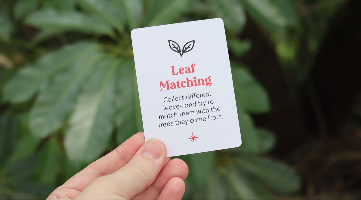 Leaf Matching Adventure: Nature’s Puzzle! – Adventure Card Co