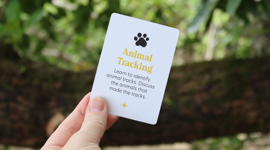 Animal Tracking: Learn to Identify Animal Tracks in Australia ...