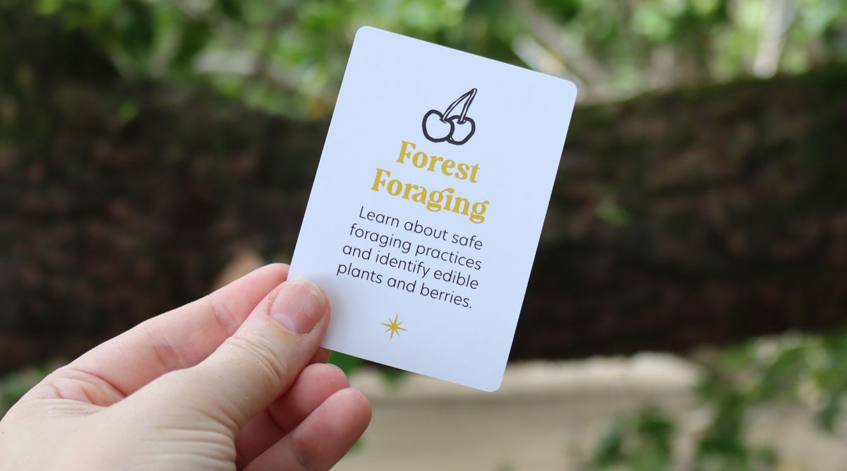 Forest Foraging: Learn Safe Practices and Identify Edible Plants and B ...
