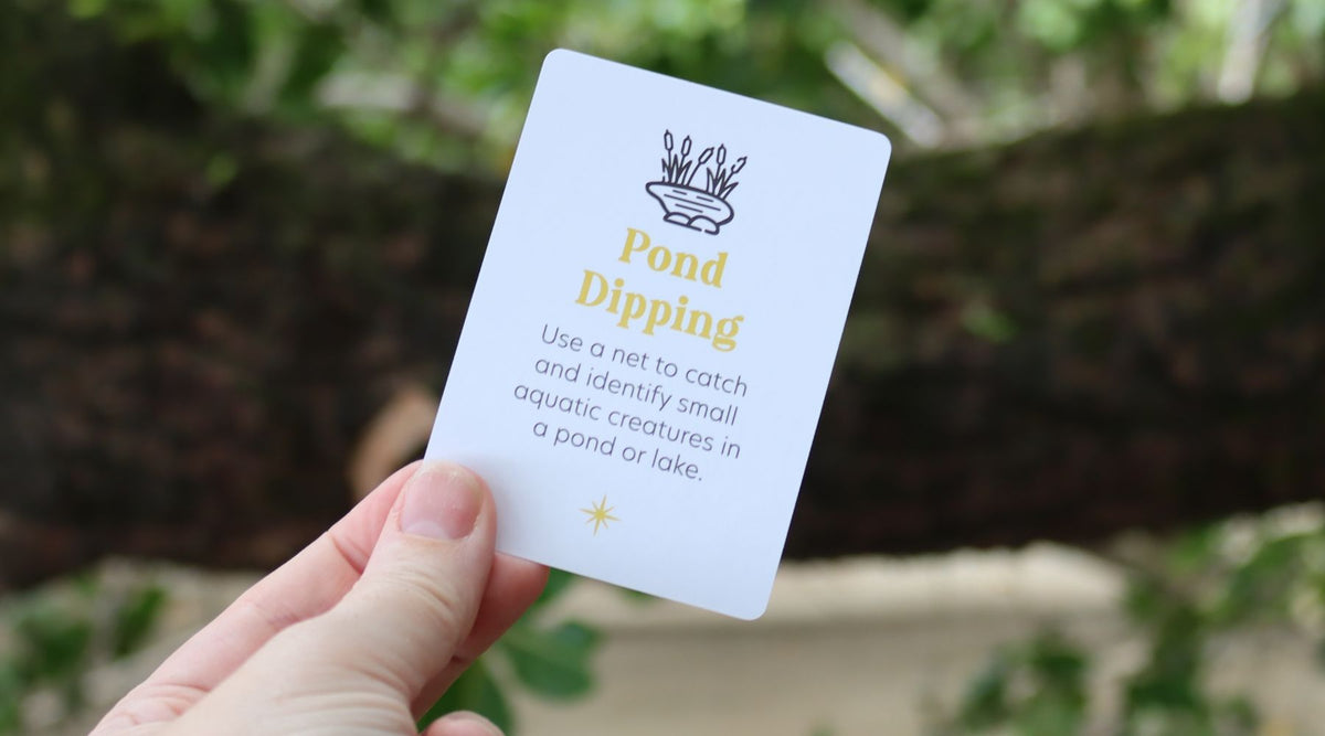 Pond Dipping: Explore Aquatic Life with a Net – Adventure Card Co