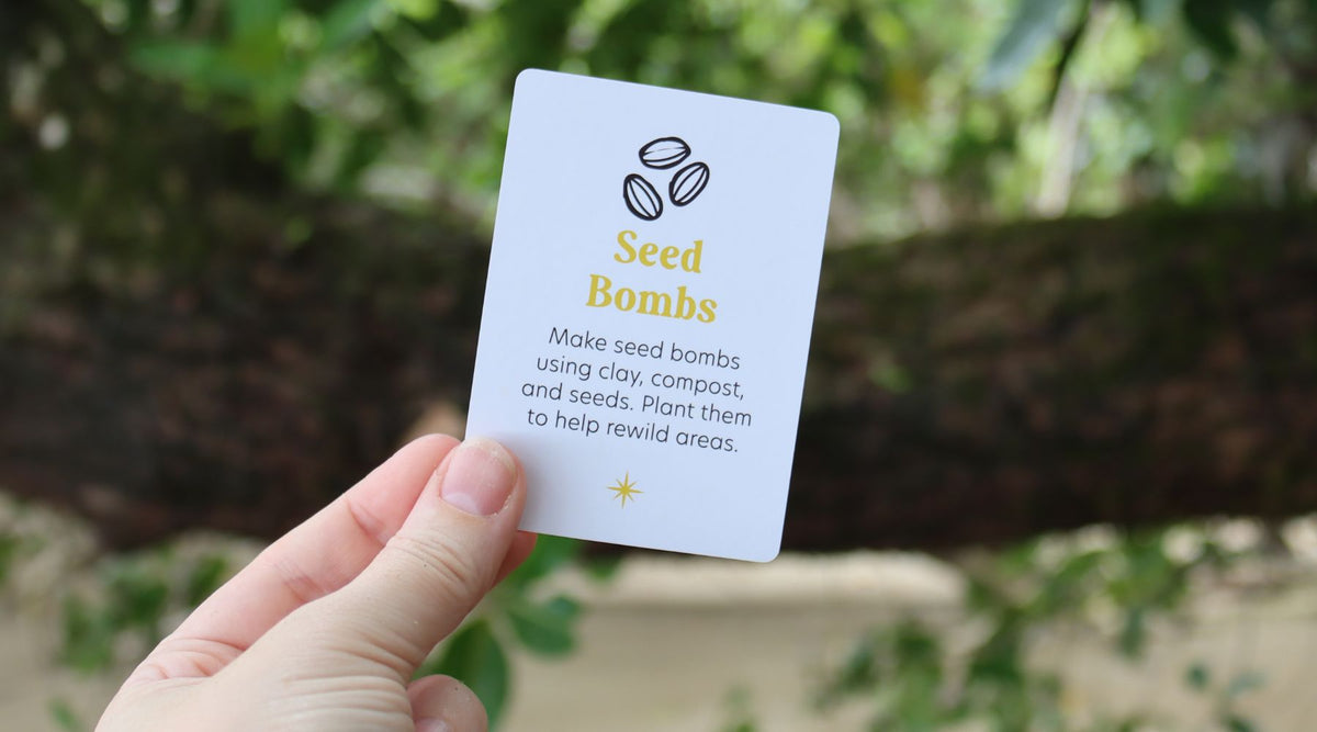 Seed Bombs: Rewild Your World with a Burst of Green – Adventure Card Co